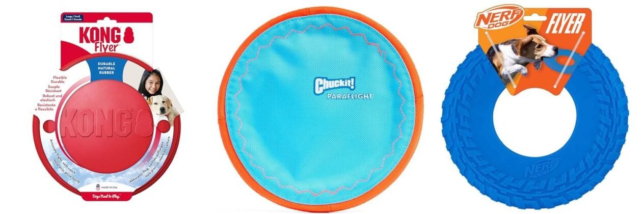 Best Frisbee Dogs - Top 5 Picks & Review